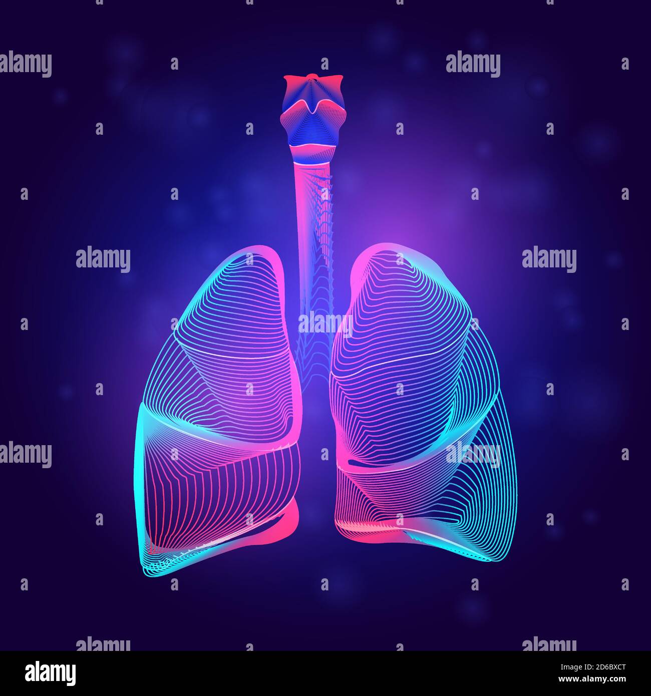 Human Lungs Medical Structure Outline Vector Illustration Of Body Part