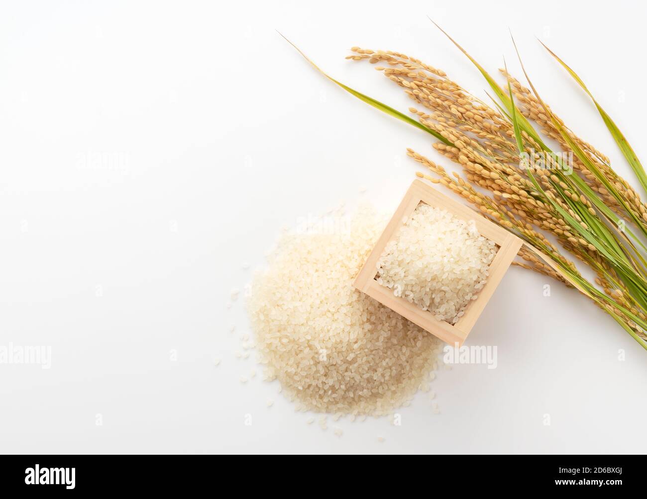 A bird's-eye view of white rice, measuring cups and ears of rice on a ...