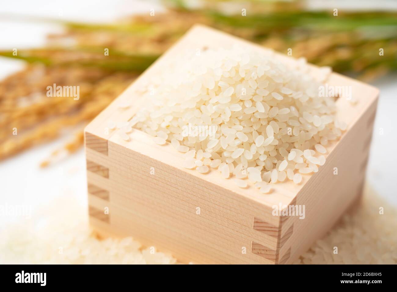 Close up of white rice, Japanese squares and ears of rice on a white ...
