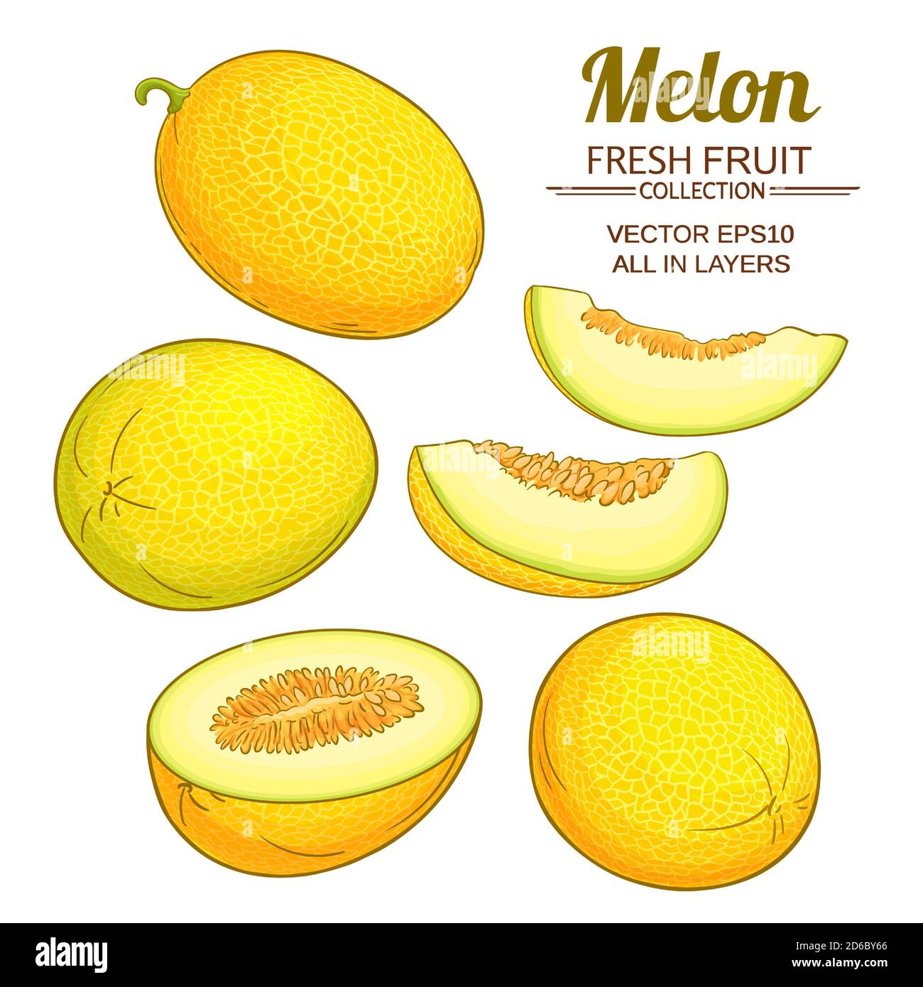melon vector set Stock Vector Image & Art - Alamy