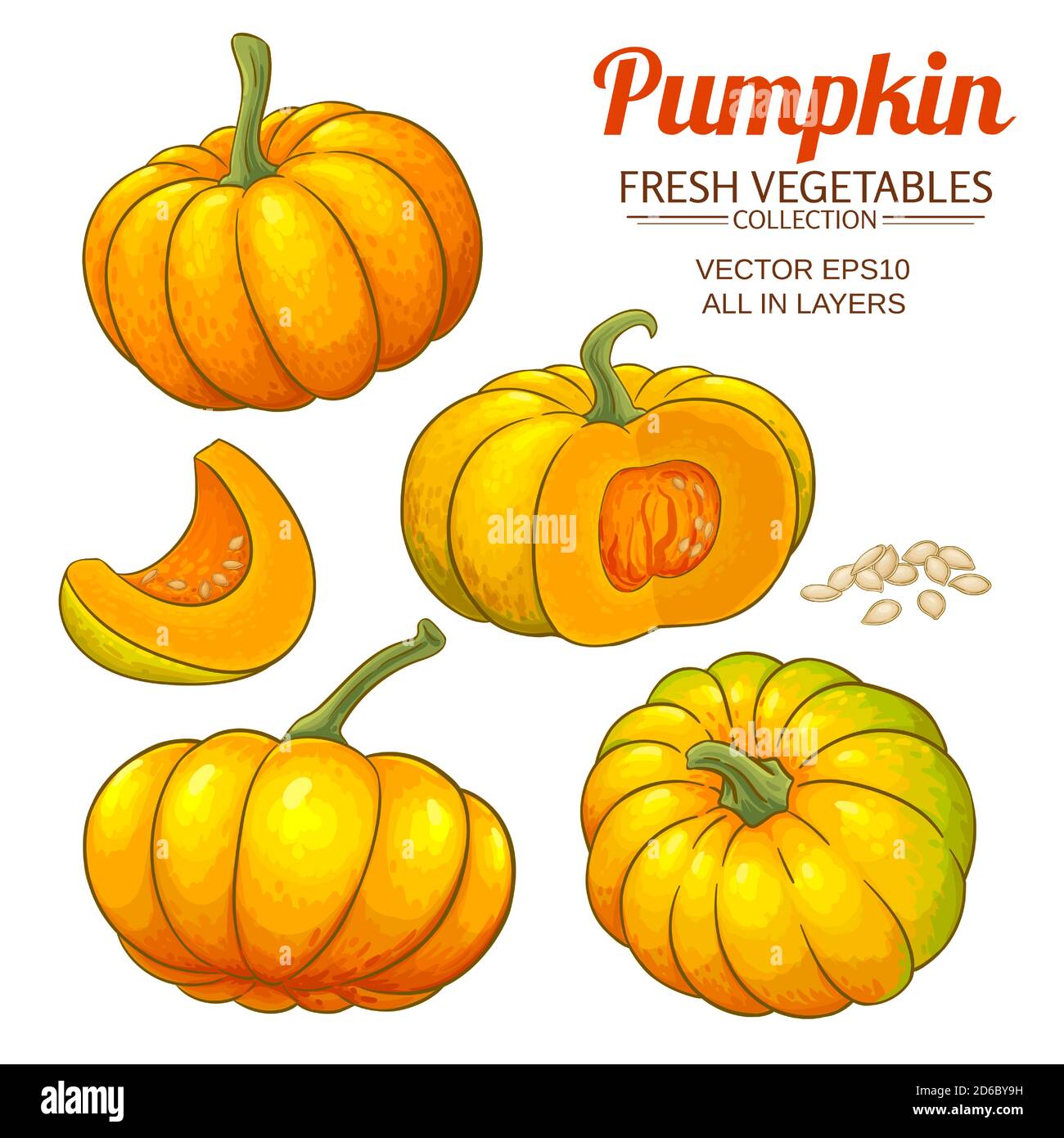 pumpkin vector set Stock Vector Image & Art - Alamy