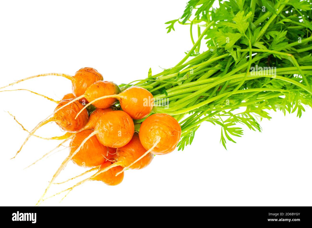 Bunch of fresh round carrots, organic vegetables, vegetarian food Stock ...