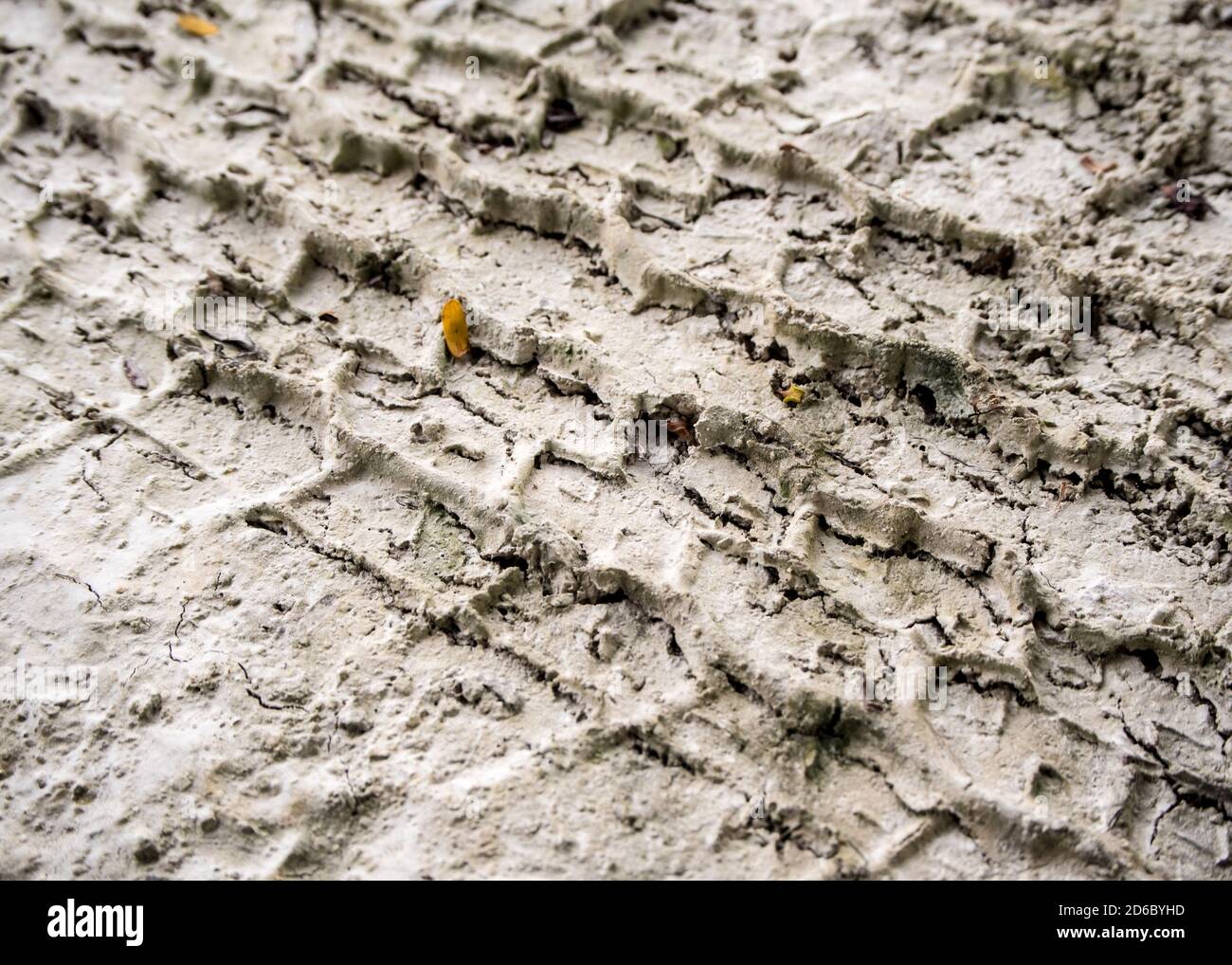 Tire tracks texture of truck on the dried mud Stock Photo - Alamy