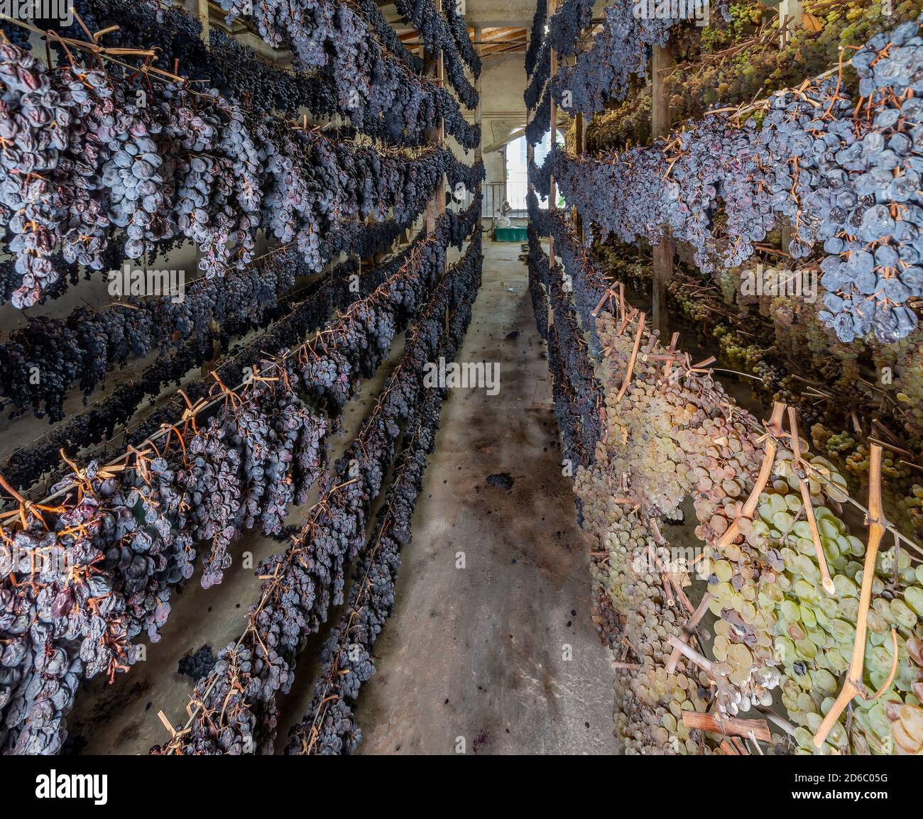 Grapes Hung To High Resolution Stock Photography and Images - Alamy