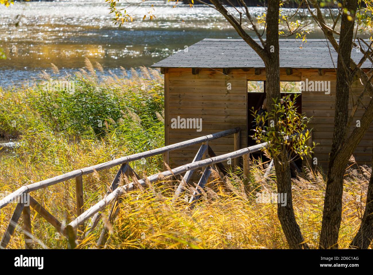 Wooden bird watching hut hi-res stock photography and images - Alamy