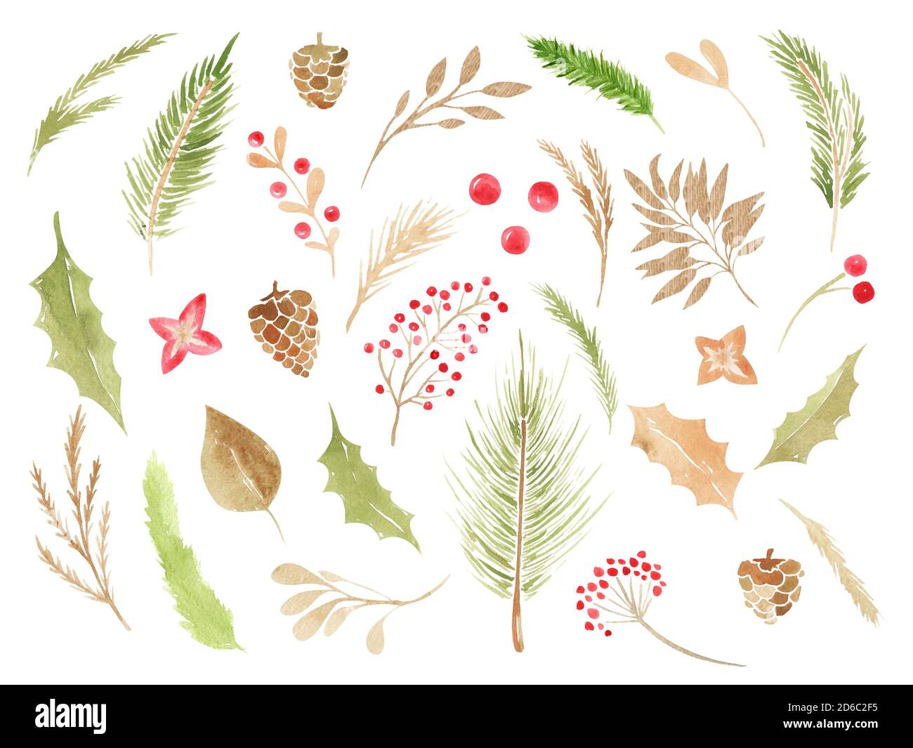 Christmas boho clipart. Watercolor winter floral set. Holiday branches ...