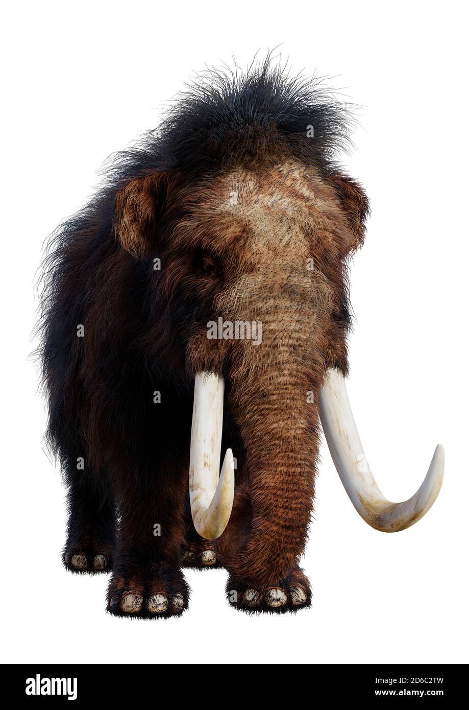 Woolly mammoth Cut Out Stock Images & Pictures - Alamy