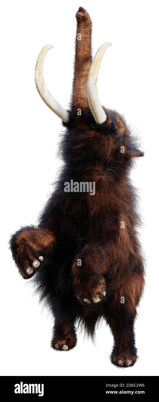 3D rendering of a woolly mammoth isolated on white background Stock ...
