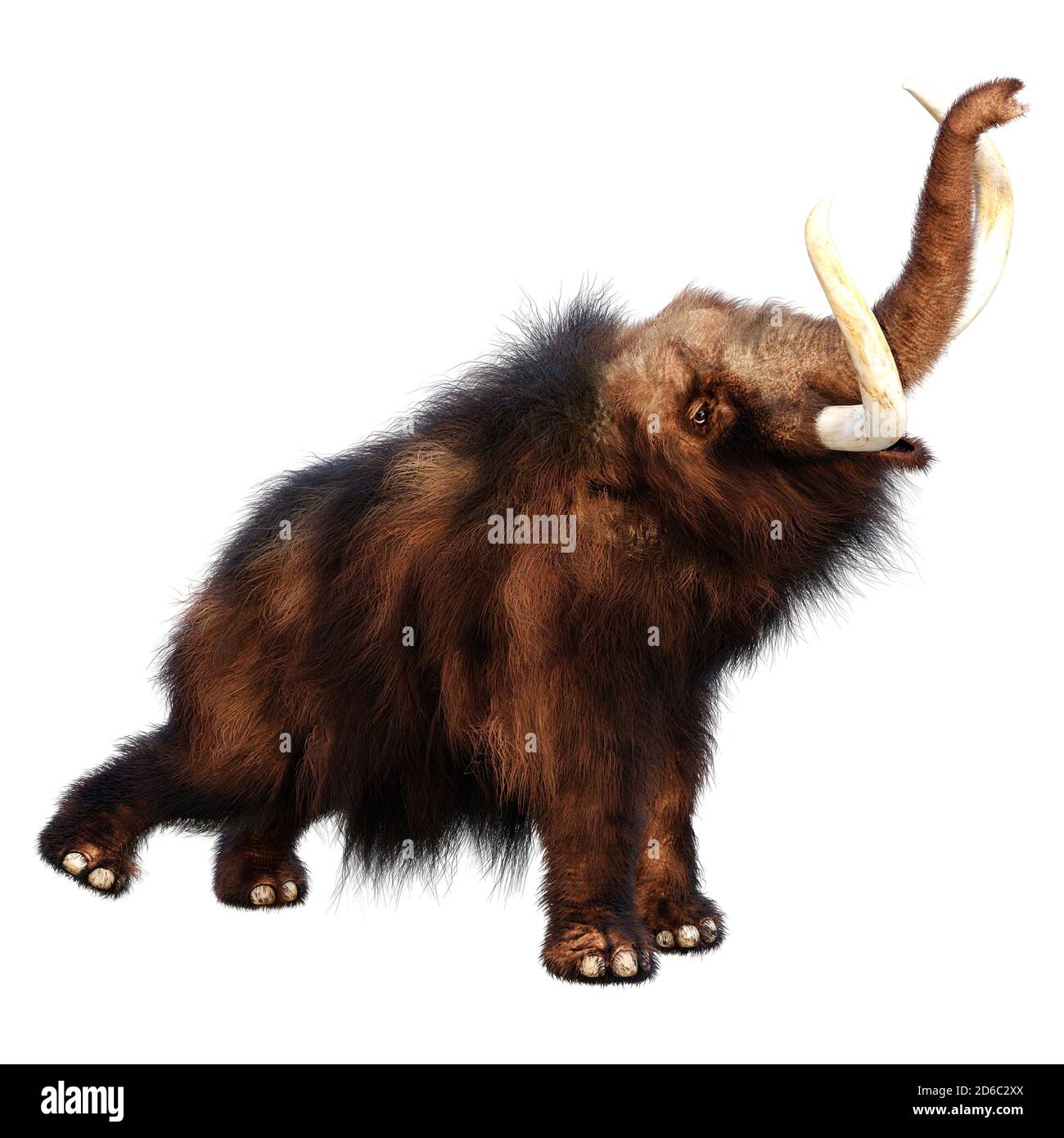 3D rendering of a woolly mammoth isolated on white background Stock ...