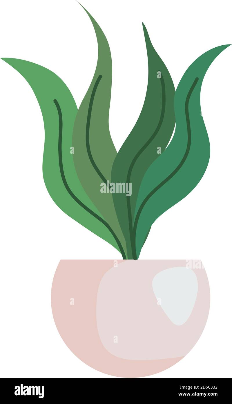 plant inside pot vector design Stock Vector Image & Art - Alamy