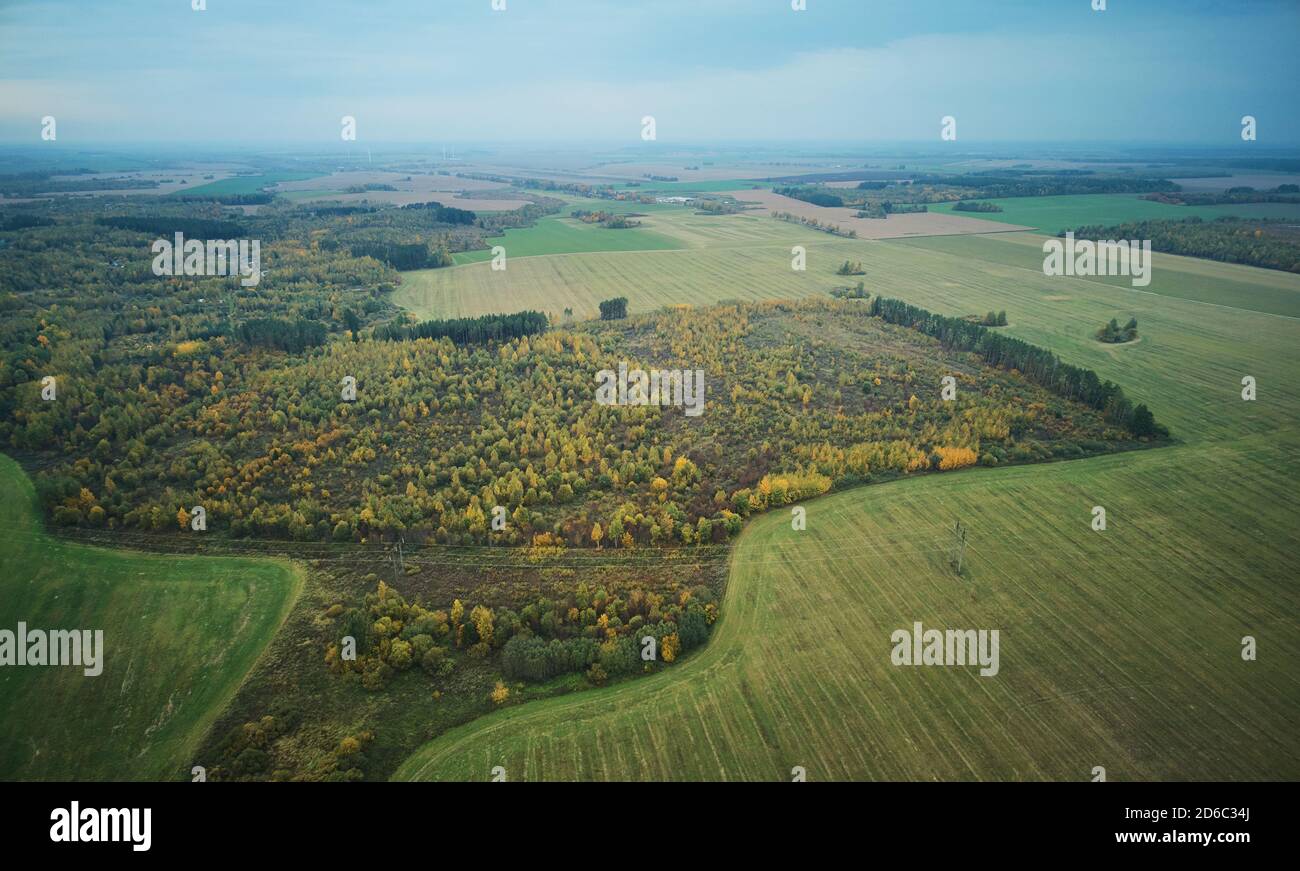 Chopping forest theme. Destroyed forest aerial drone view Stock Photo ...