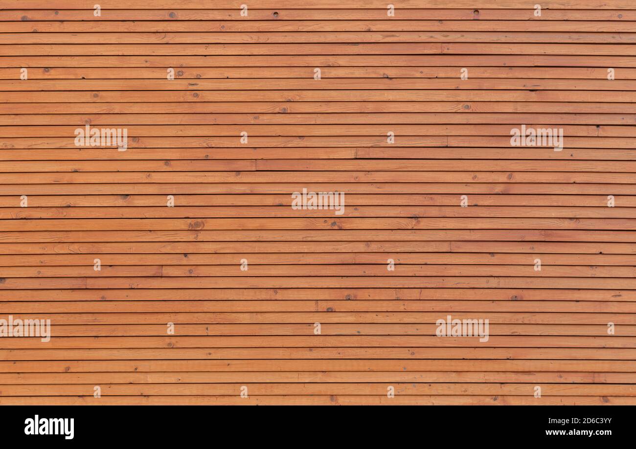 New and clean wall made of spruce tree's wood boards, viewed from the ...