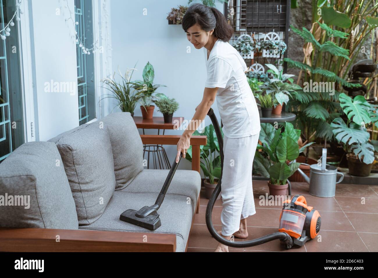 young housewife using a vacuum cleaner cleaning the couch in the living ...