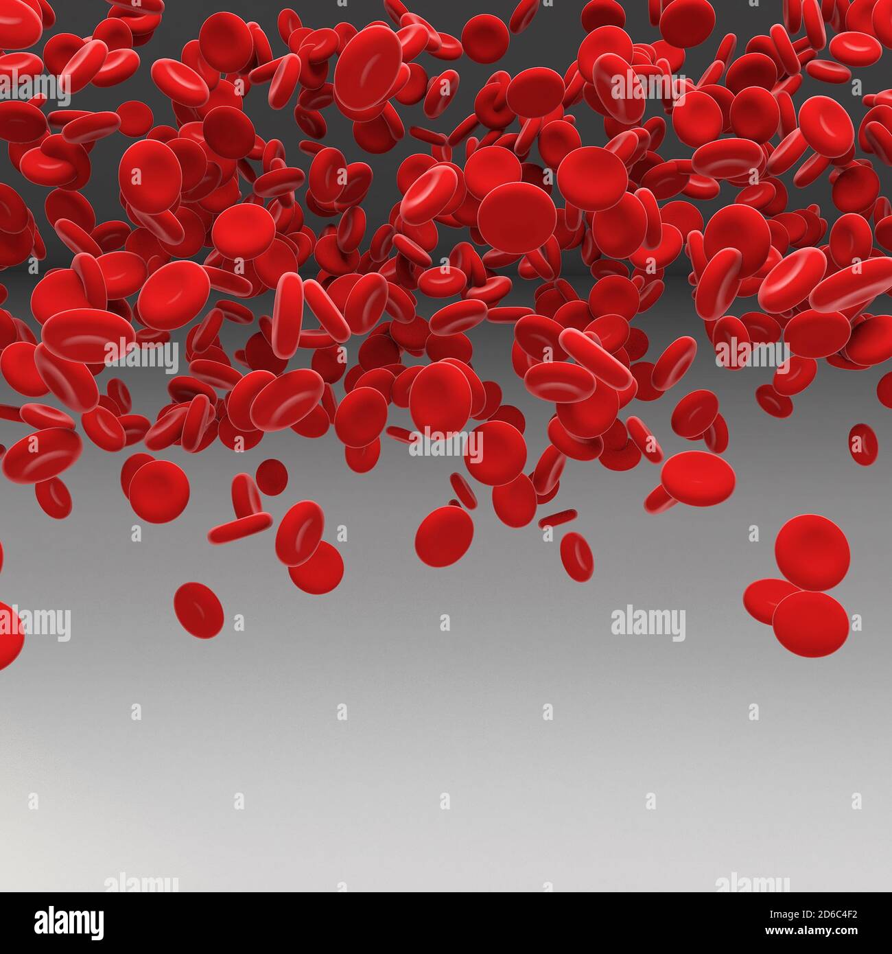 Stream of blood cells Stock Photo - Alamy