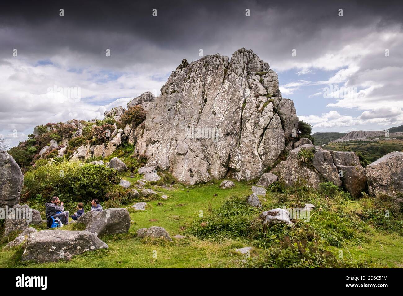 Roche family hi-res stock photography and images - Alamy