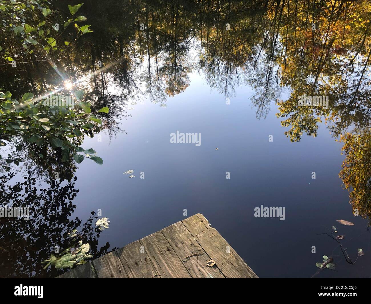 Wooden dock and forest lake reflecting trees with copy space Stock ...