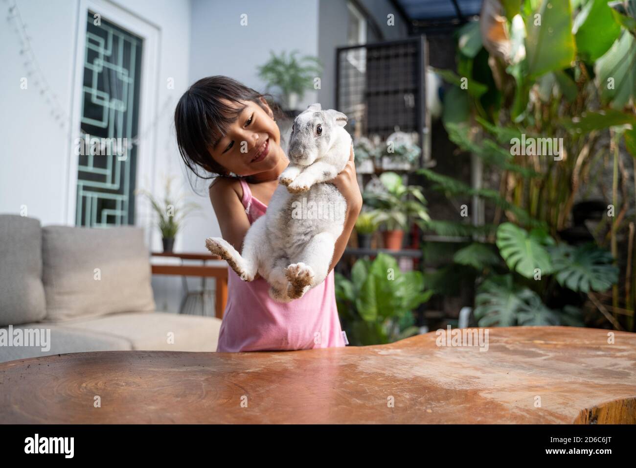 Child play with real rabbit. Laughing child with white pet bunny Stock ...