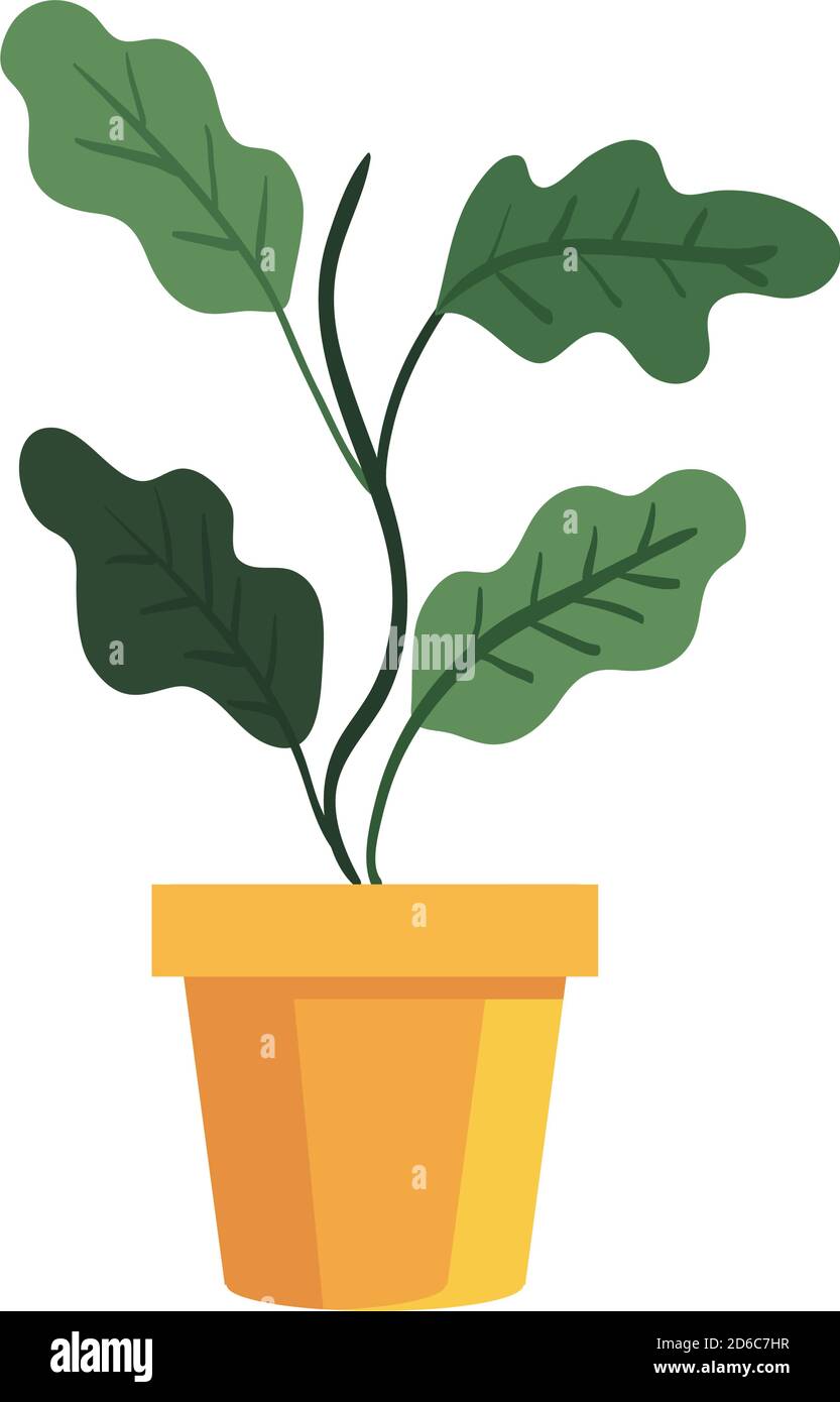 plant inside pot vector design Stock Vector Image & Art - Alamy