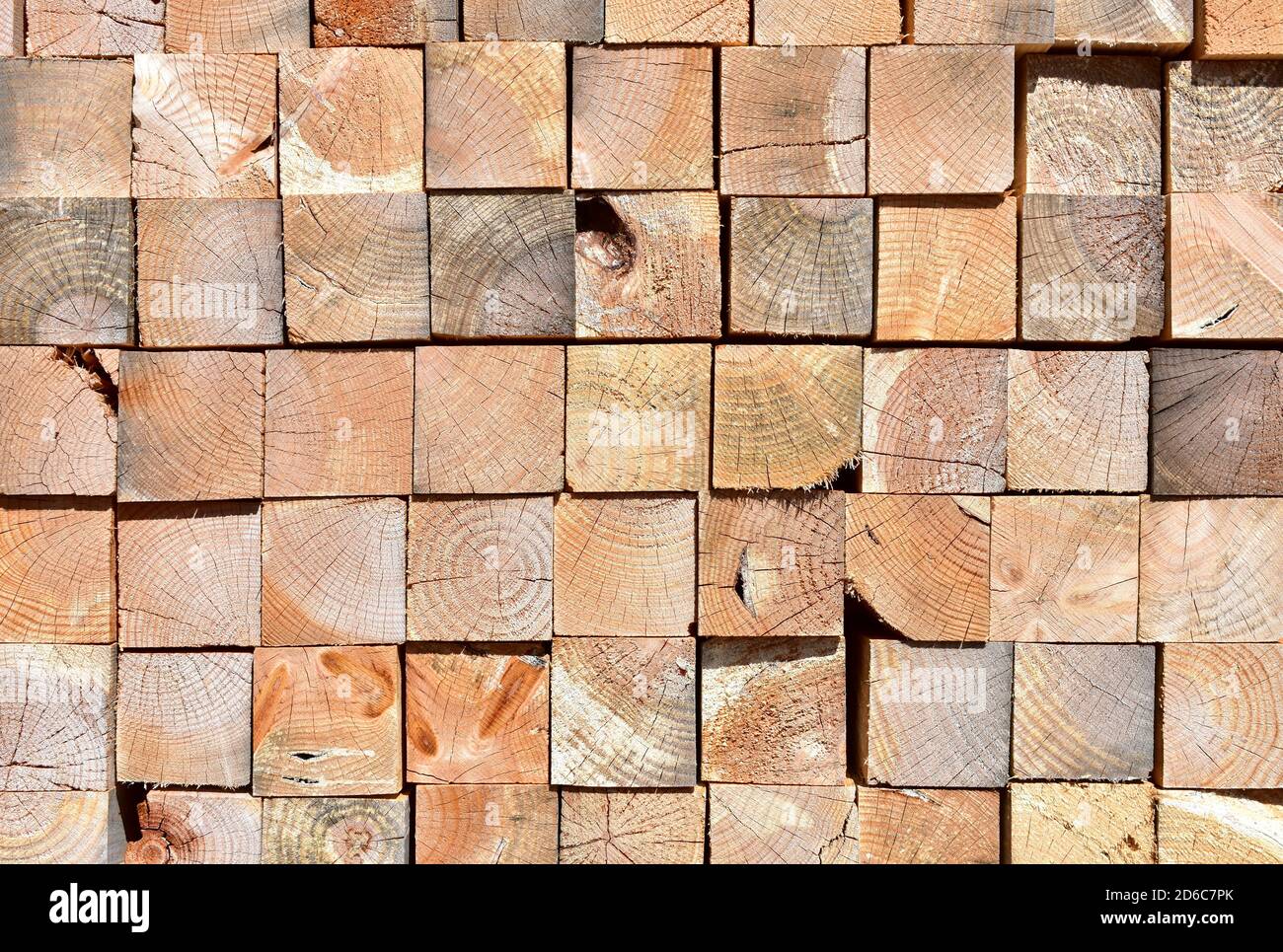 Pine tree cut wood background. Wood texture with sun light Stock Photo ...