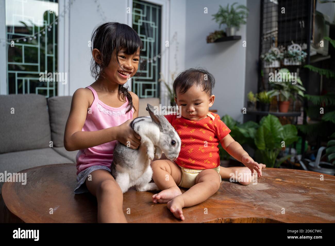 Children play with real rabbit. Little baby girl playing with animal in ...