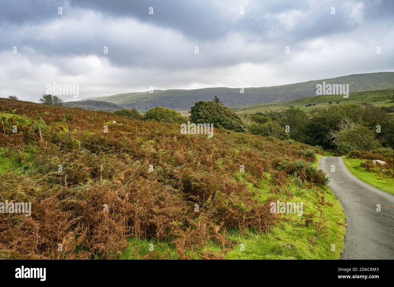 The route to Diffwys in southern Snowdonia, Gwynedd, North Wales, UK ...