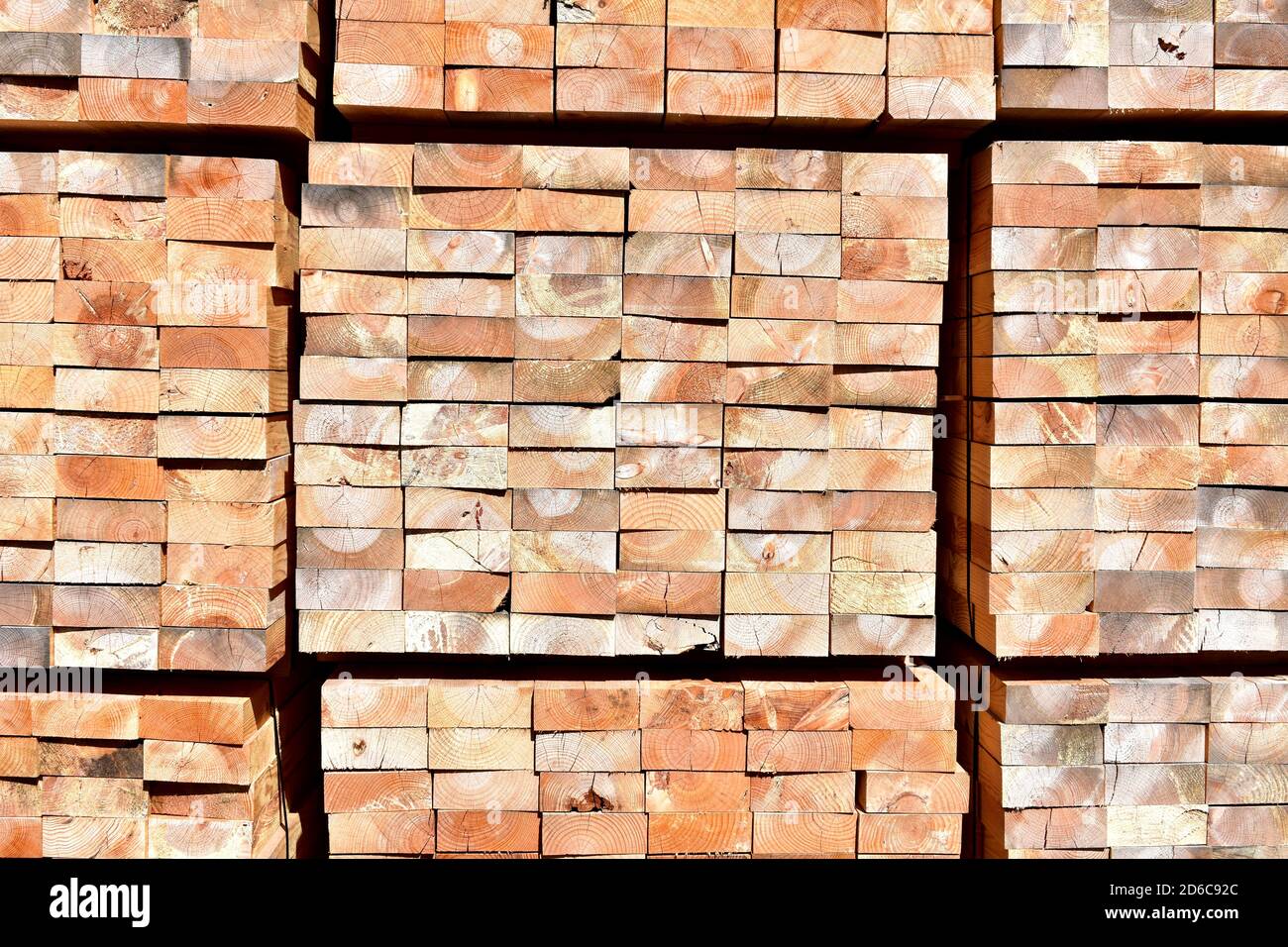 Pine tree cut wood background. Wood texture with sun light Stock Photo ...