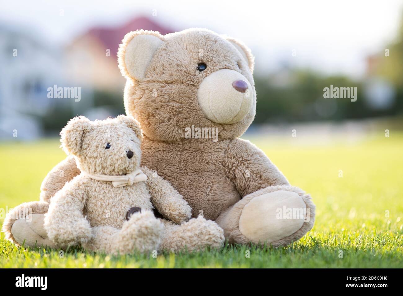 Cute teddy bears toys sitting on green grass in summer Stock Photo - Alamy
