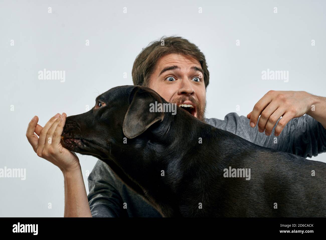 happy owner with pet black dog training model emotions Stock Photo - Alamy