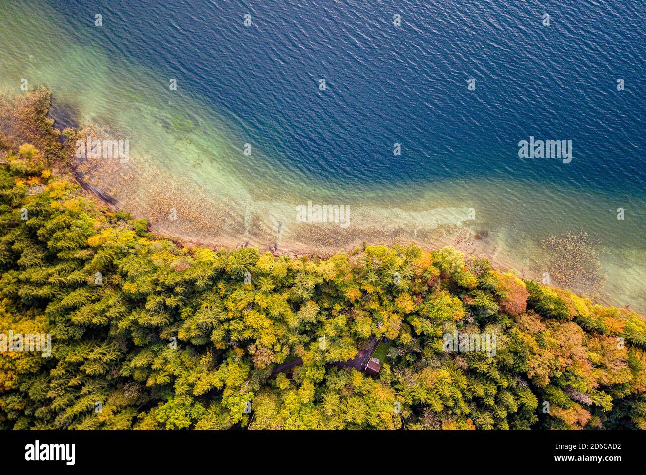 Autum Fall Top view from Drone of Lake Tegernsee and colorful Forest ...