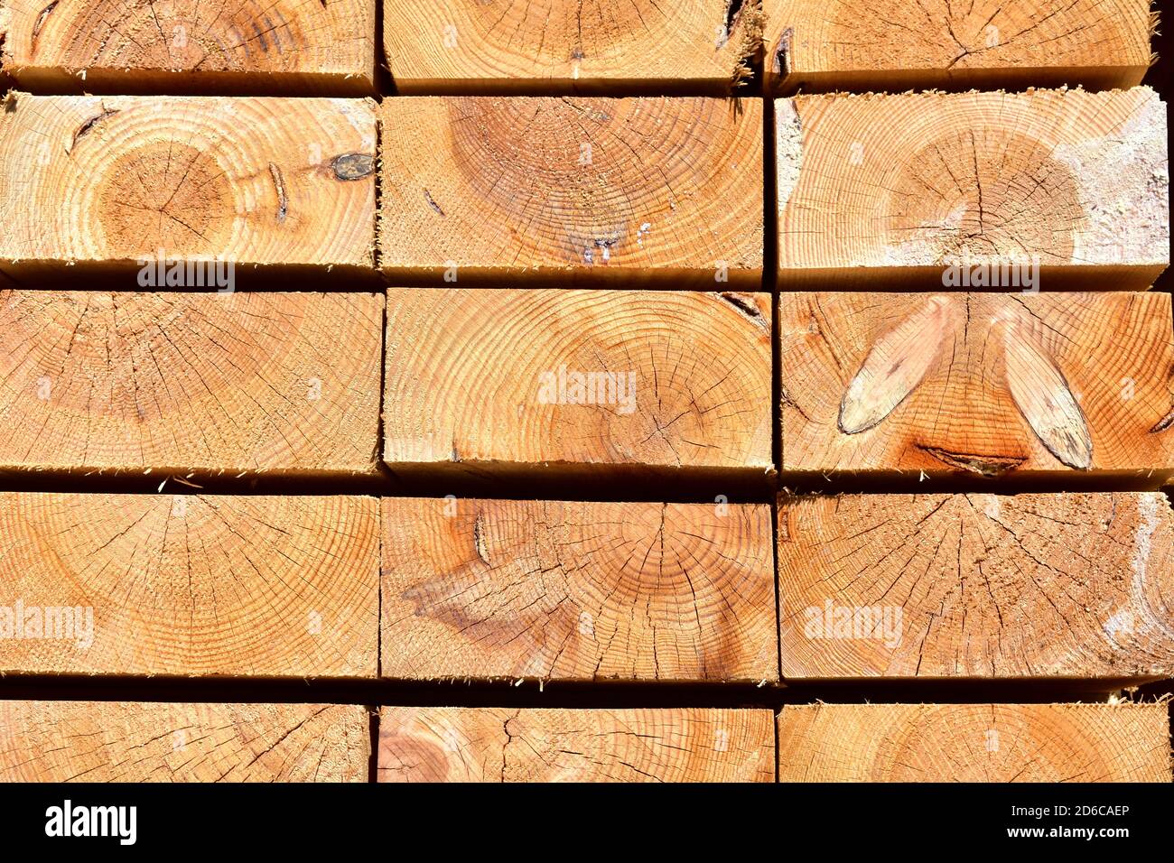 Pine tree cut wood background. Wood texture with sun light Stock Photo ...