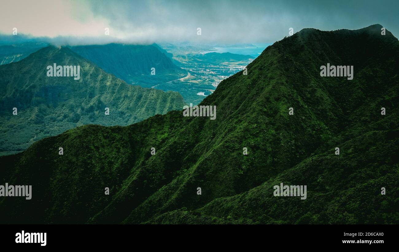 Tropical Montane Cloud Forest, Oahu, Hawaii ，Konahuanui, Koolau Range ...