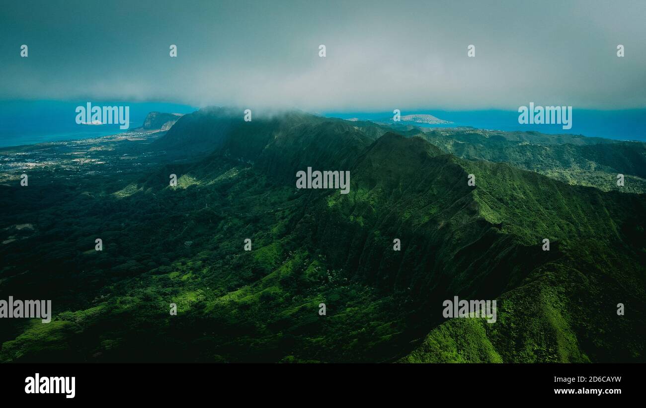 Tropical Montane Cloud Forest, Oahu, Hawaii ，Konahuanui, Koolau Range ...
