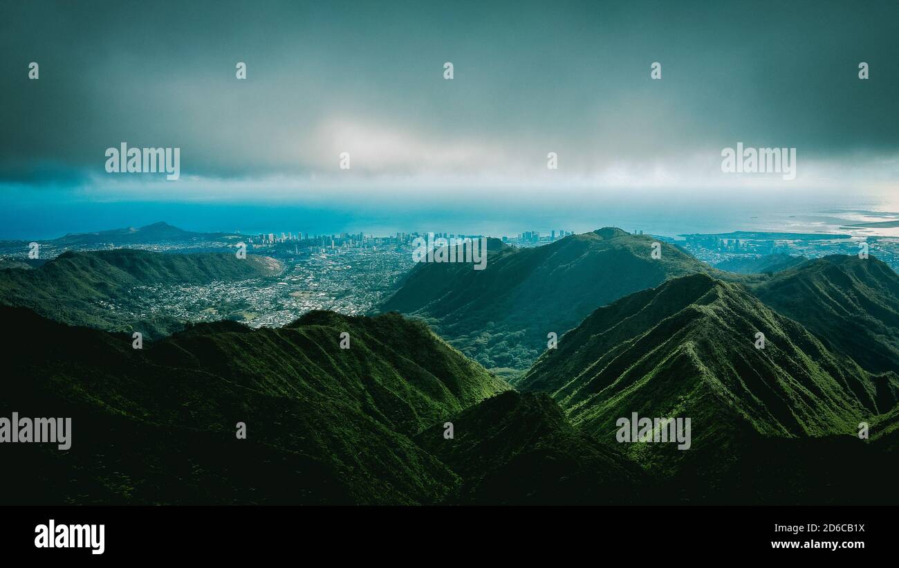Tropical Montane Cloud Forest, Oahu, Hawaii ，Konahuanui, Koolau Range ...