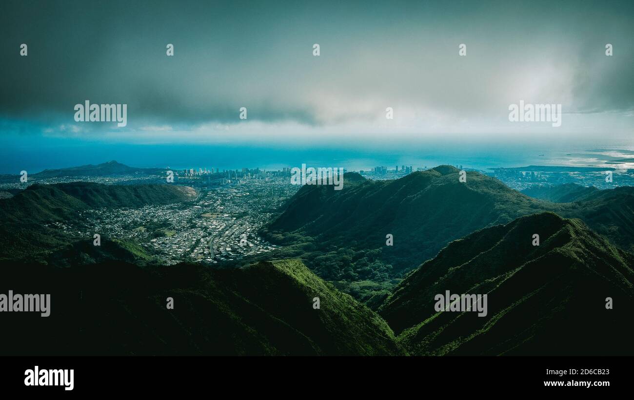 Tropical Montane Cloud Forest, Oahu, Hawaii ，Konahuanui, Koolau Range ...