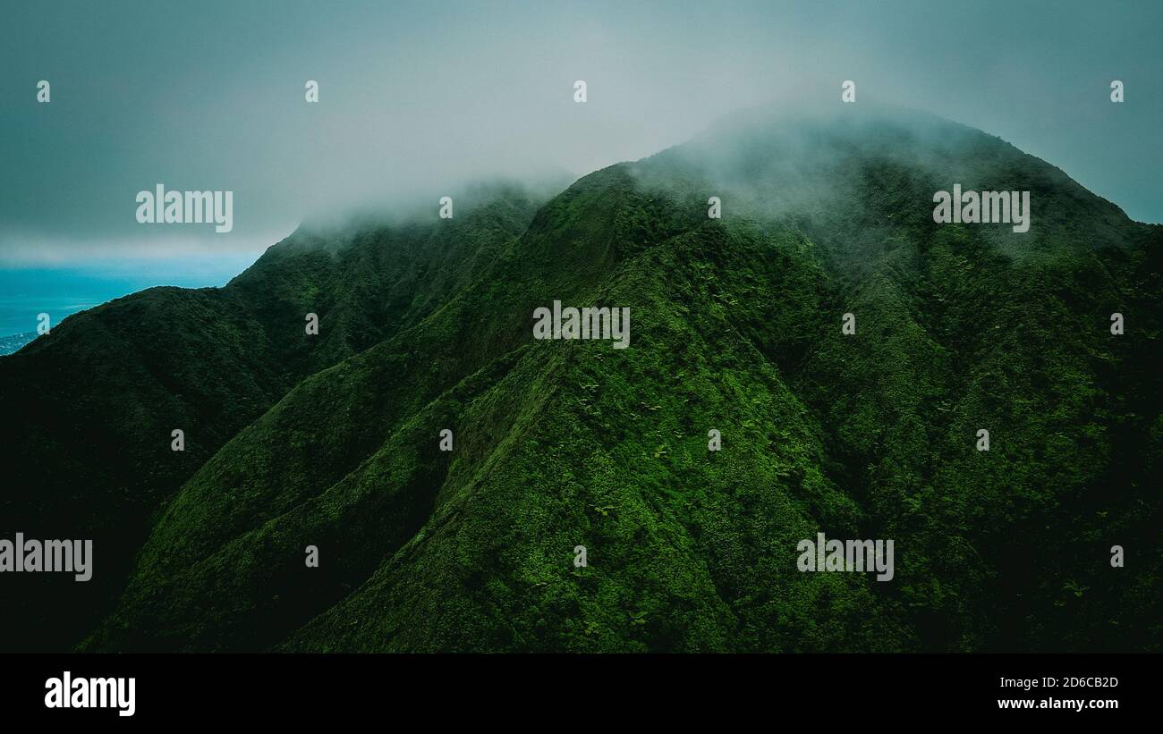 Tropical Montane Cloud Forest, Oahu, Hawaii ，Konahuanui, Koolau Range ...