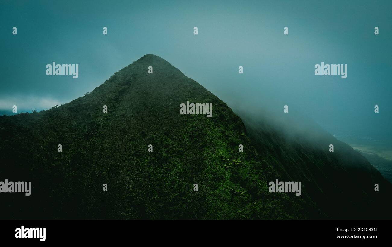 Tropical Montane Cloud Forest, Oahu, Hawaii ，Konahuanui, Koolau Range ...