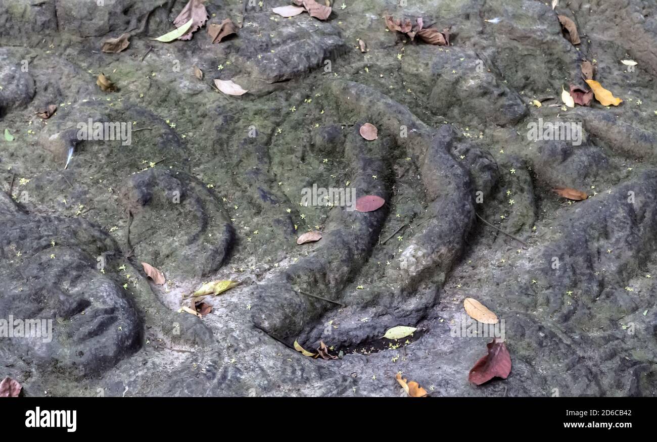 Siem Reap, Cambodia Kbal Spean This Cambodian riverbed is covered in ...