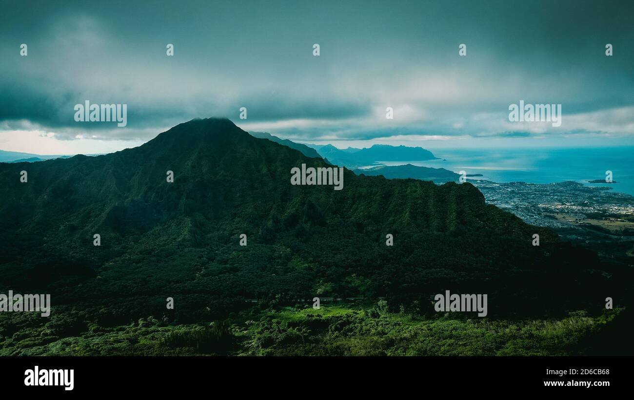 Tropical Montane Cloud Forest, Oahu, Hawaii ，Konahuanui, Koolau Range ...