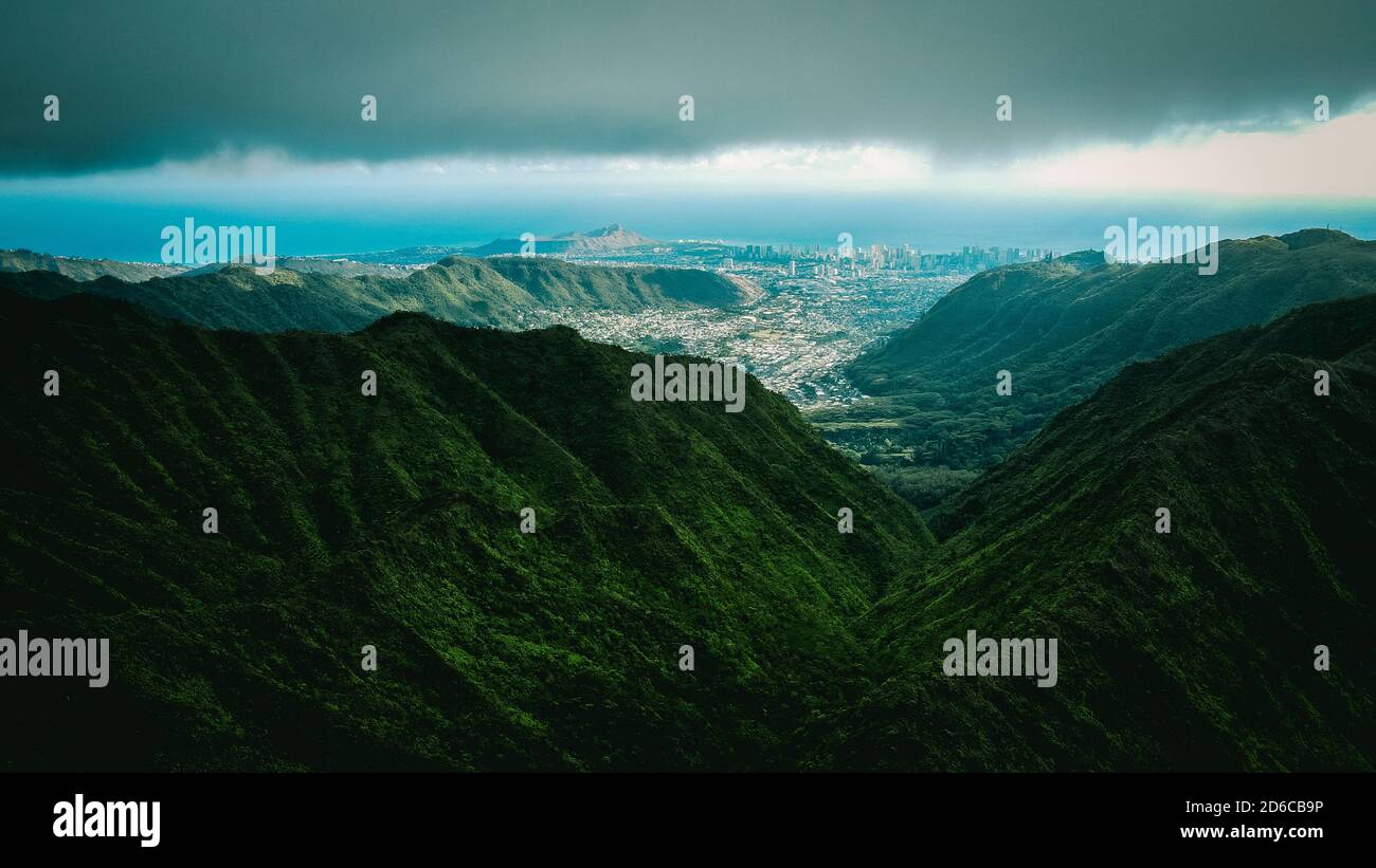 Tropical Montane Cloud Forest, Oahu, Hawaii ，Konahuanui, Koolau Range ...