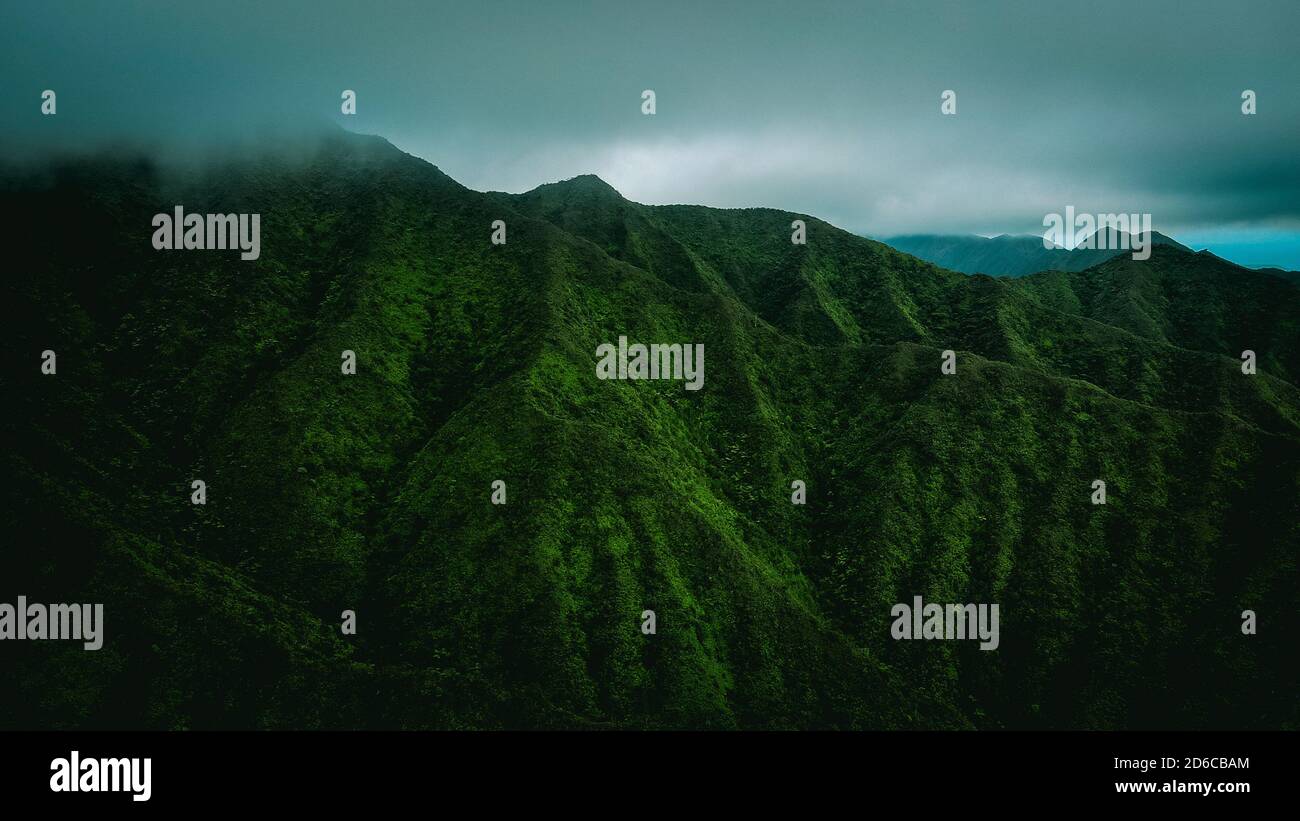 Tropical Montane Cloud Forest, Oahu, Hawaii ，Konahuanui, Koolau Range ...
