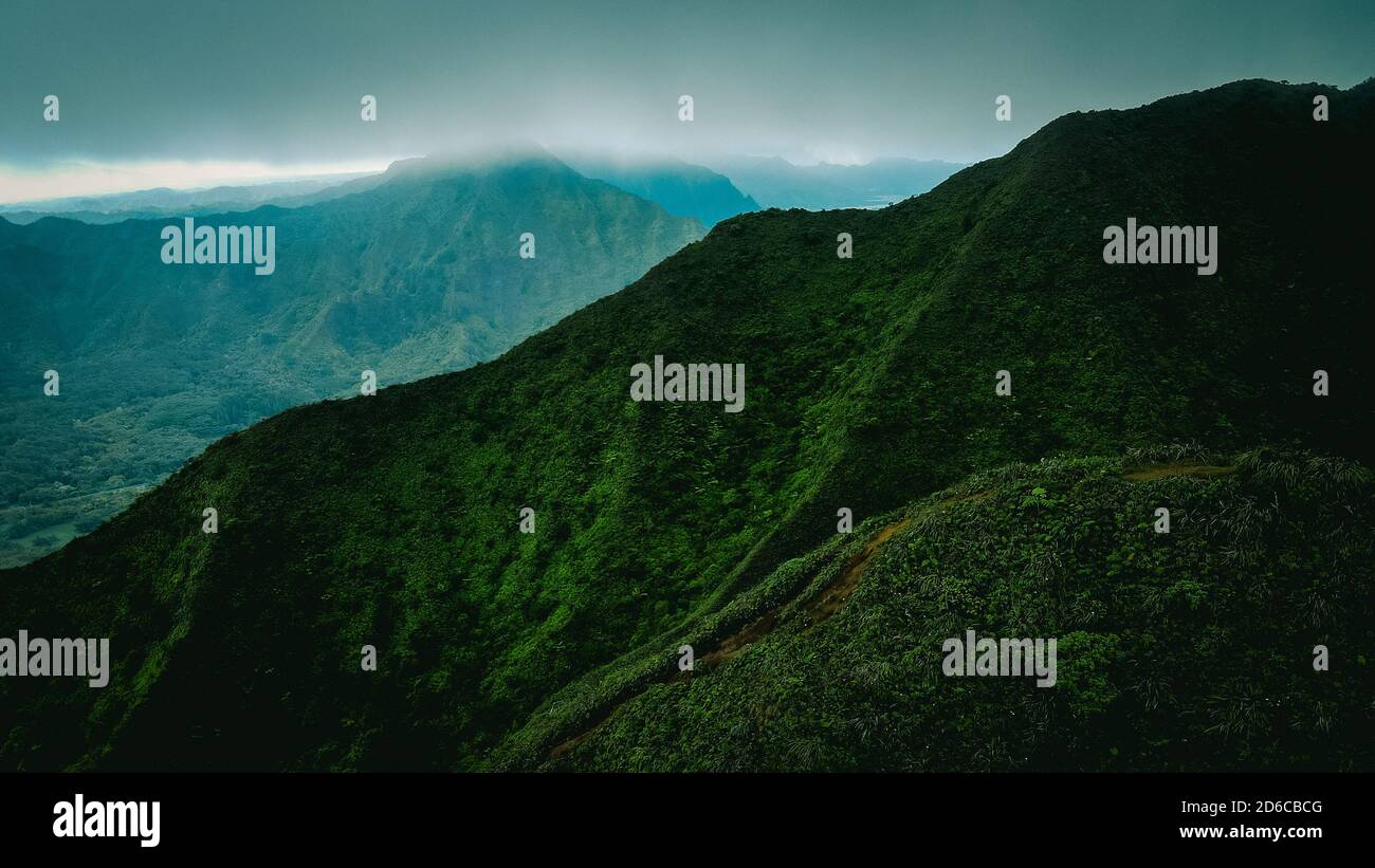 Tropical Montane Cloud Forest, Oahu, Hawaii ，Konahuanui, Koolau Range ...