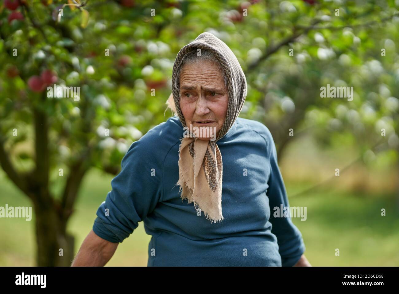 Old rural woman in her orchard, countryside portrait Stock Photo - Alamy