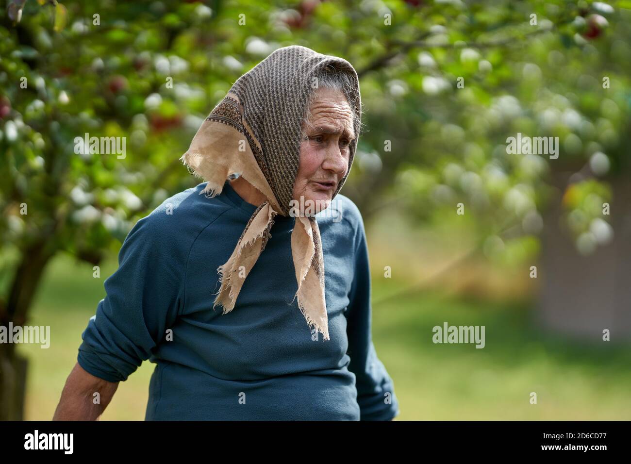 Old rural woman in her orchard, countryside portrait Stock Photo - Alamy