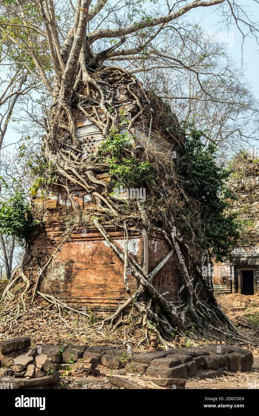 Ancient brick Tower Prasat Pram Temple ruins of Koh Ker Siem Reap ...