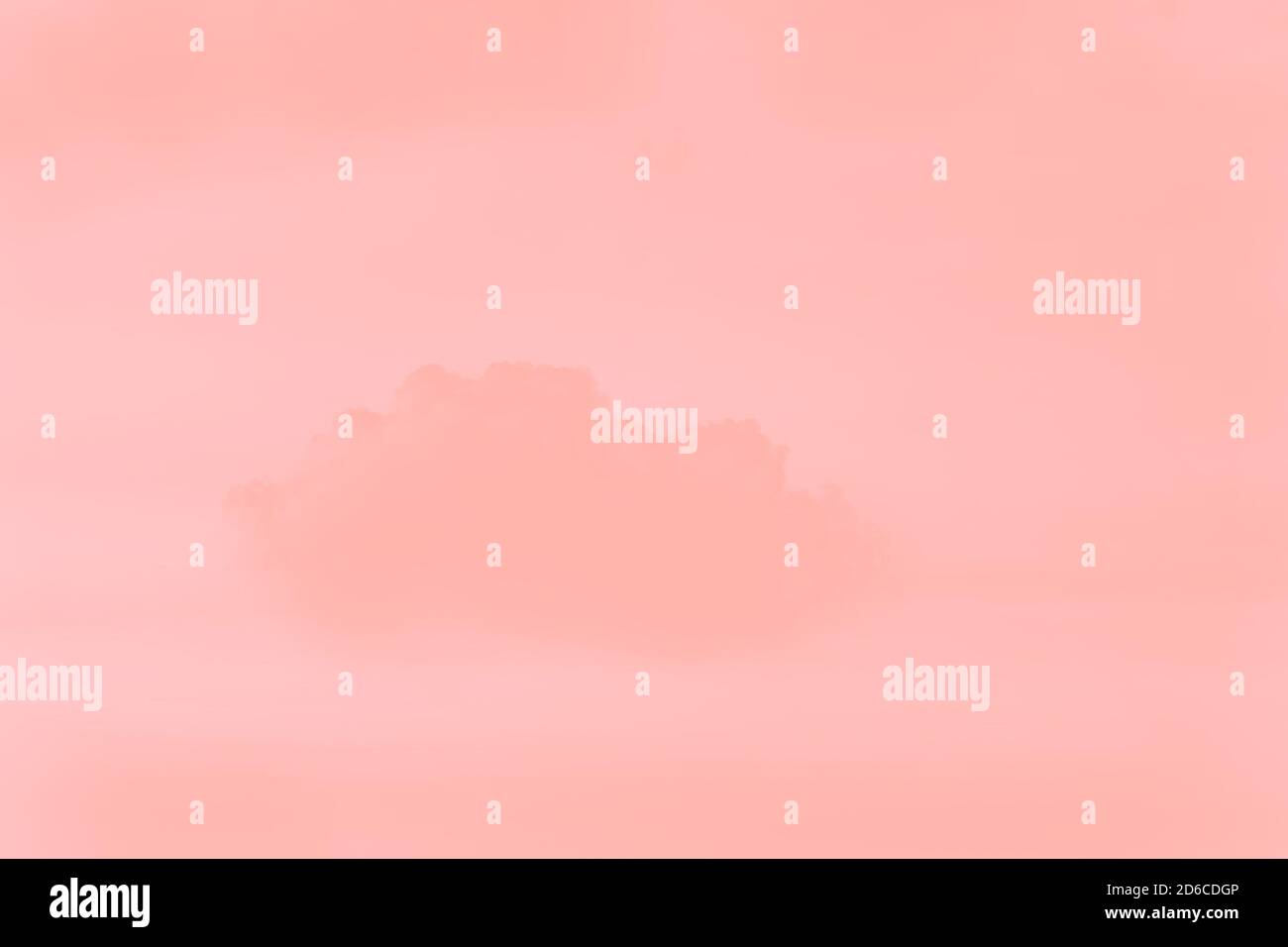 Plain Coral Colored Wallpaper