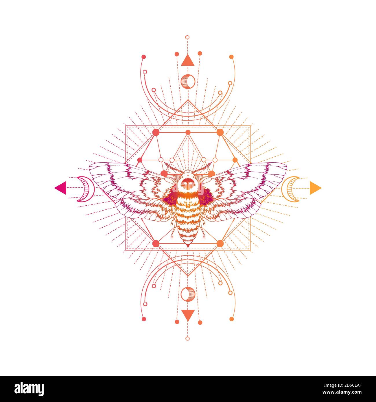 Vector illustration with hand drawn dead head moth and Sacred geometric ...