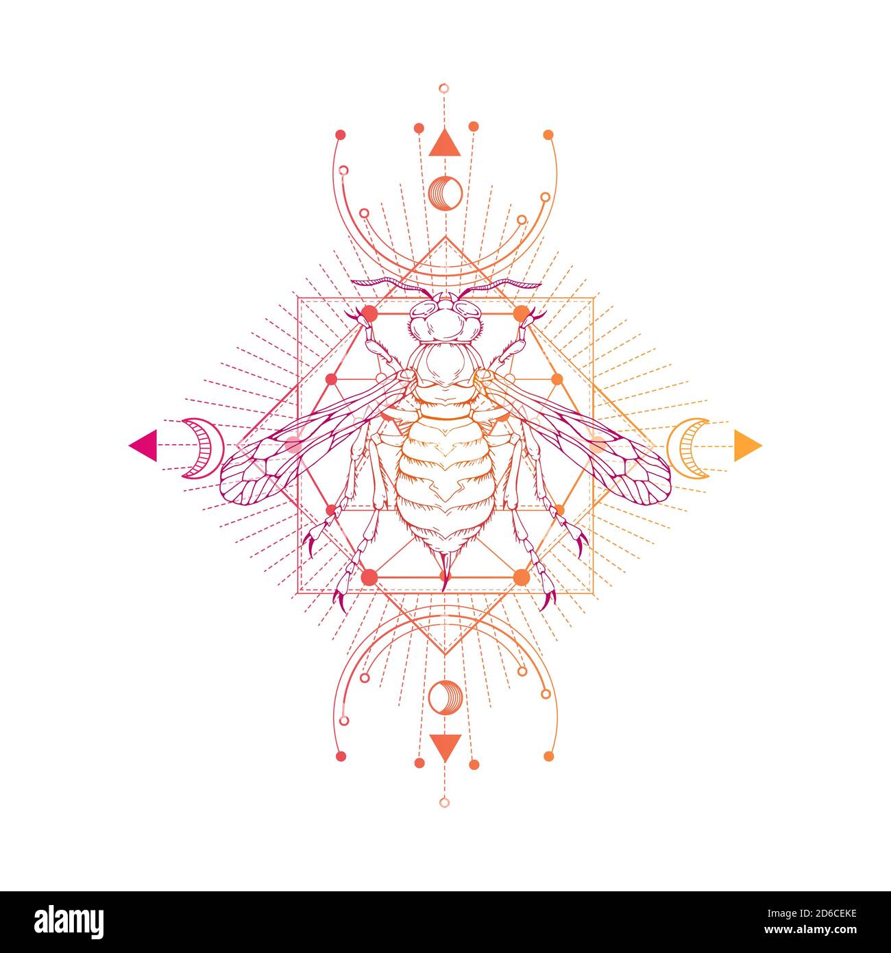 Vector illustration with hand drawn wasp and Sacred geometric symbol on ...
