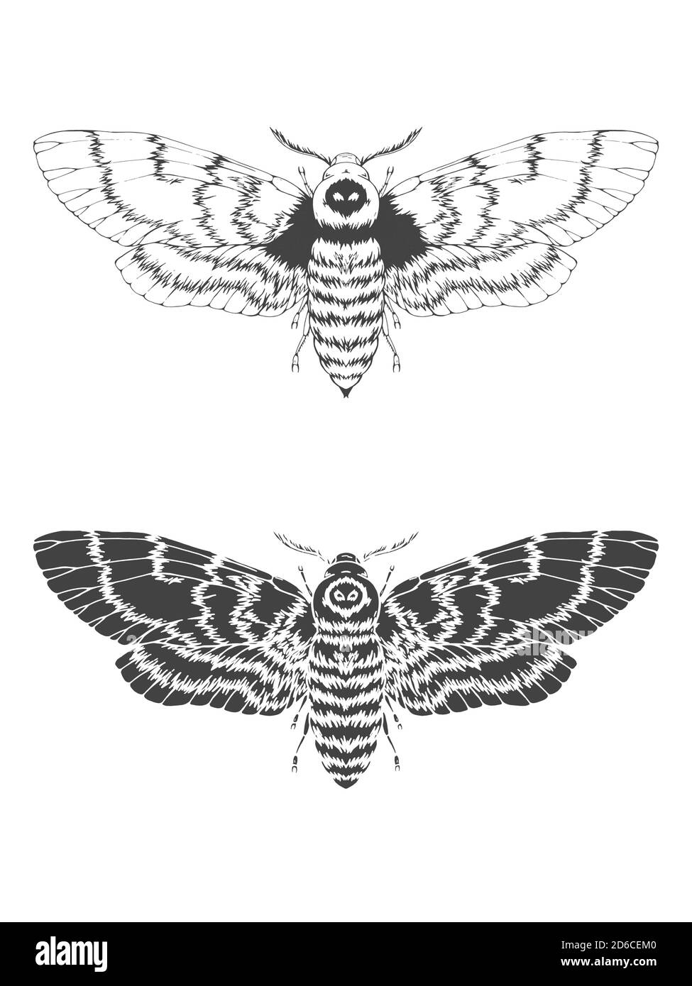 Vector illustration with hand drawn dead head moth. Two variants of ...