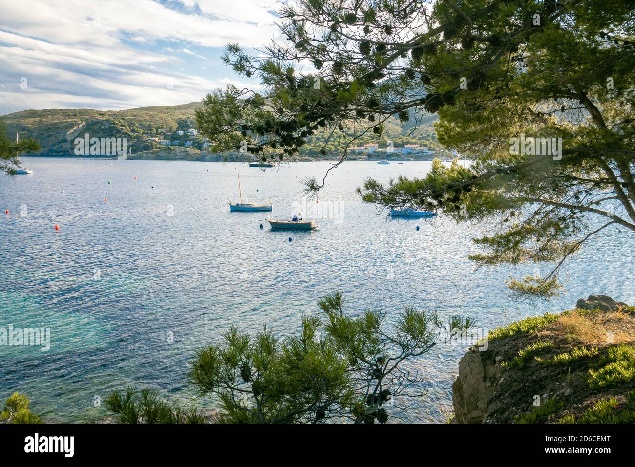 Beautiful seascape view with fishing boats as seen through tree ...