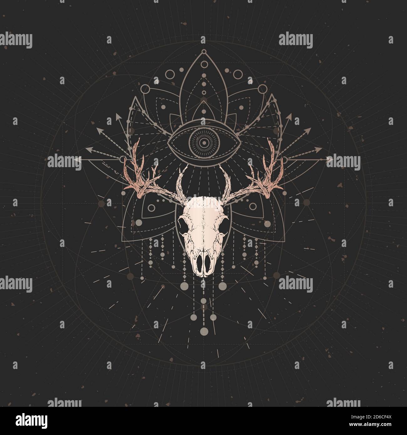 Vintage deer anatomy Stock Vector Images - Alamy